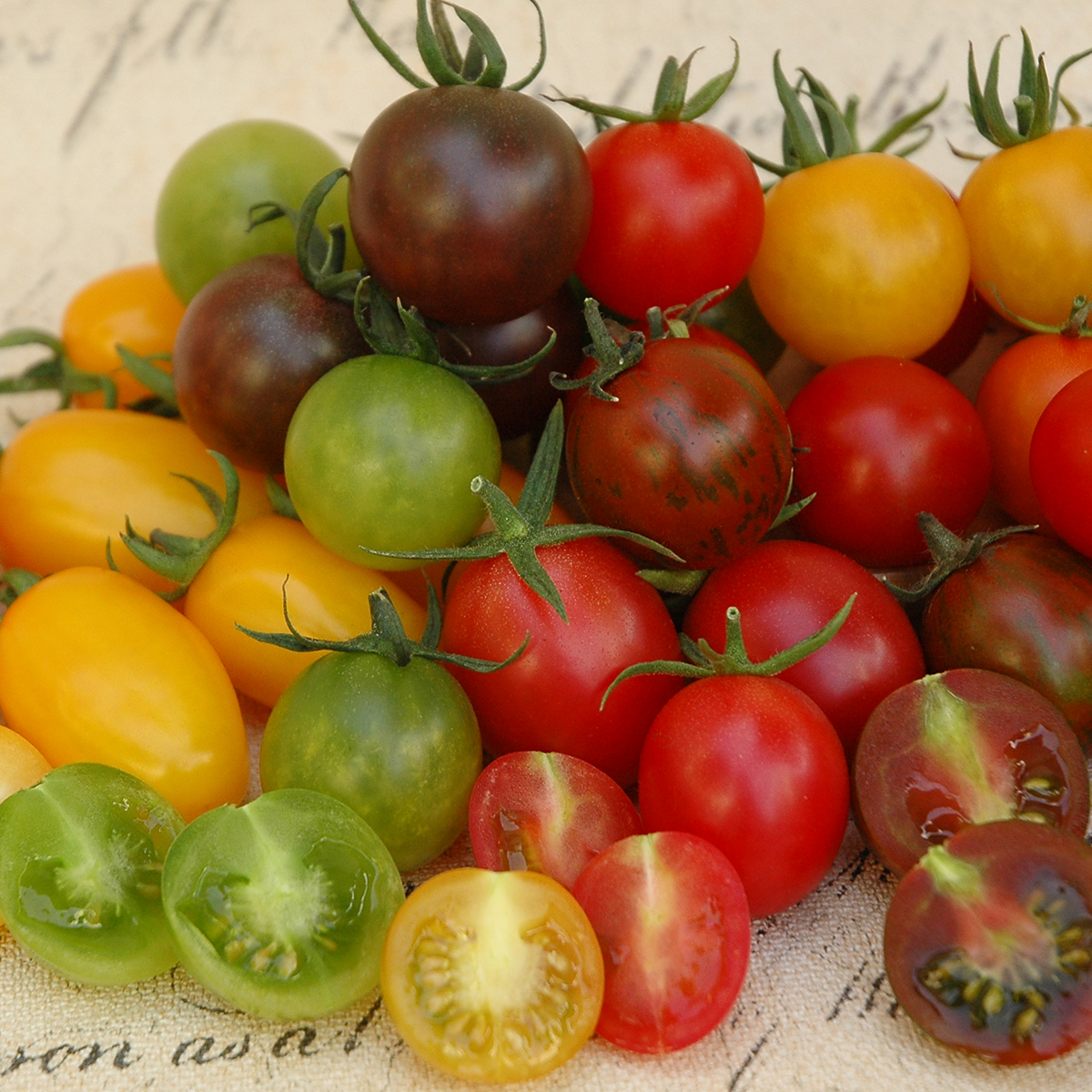 01. TOMATO F1 – EVERGROW SEED CO. LTD.