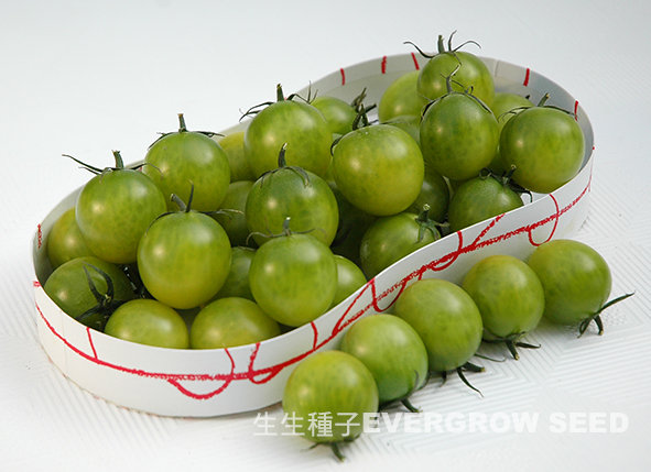 4153 GREEN PUPIL – EVERGROW SEED CO. LTD.