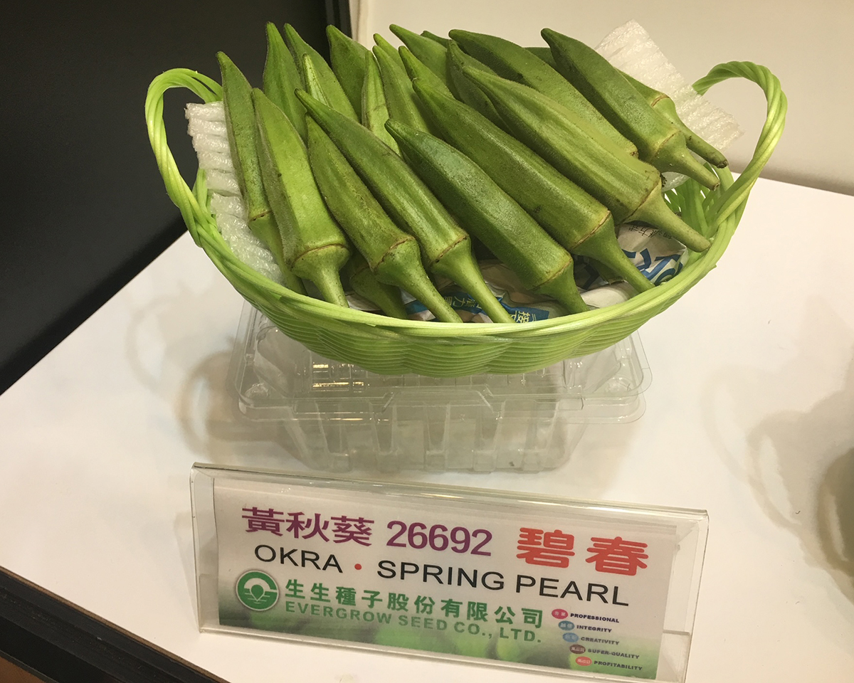 26692 SPRING PEARL – EVERGROW SEED CO. LTD.