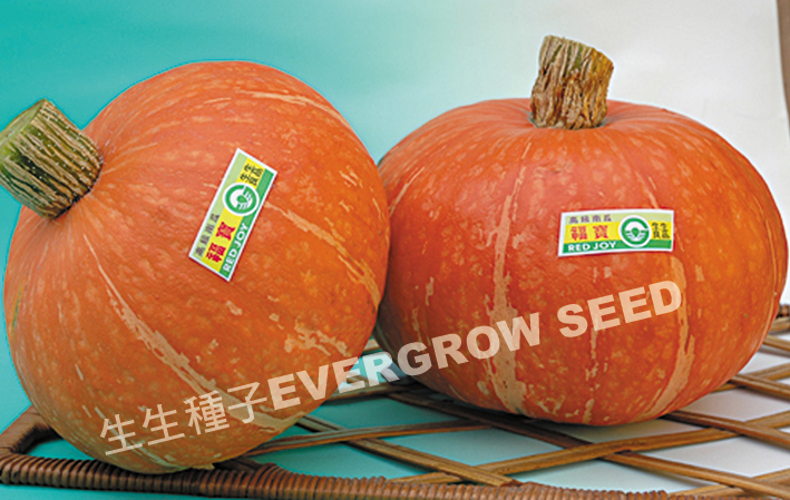 12449 RED JOY – EVERGROW SEED CO. LTD.