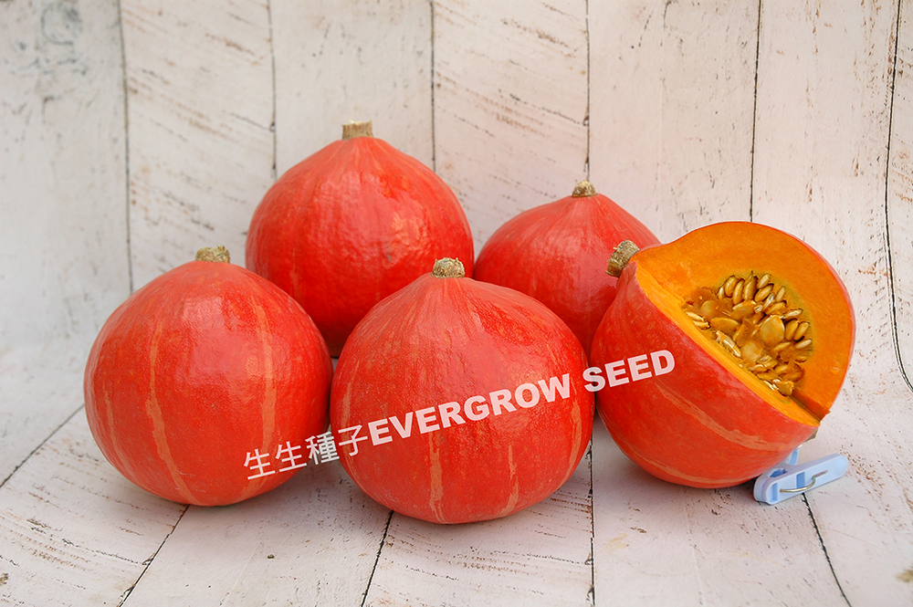 12453 RED CRANE – EVERGROW SEED CO. LTD.